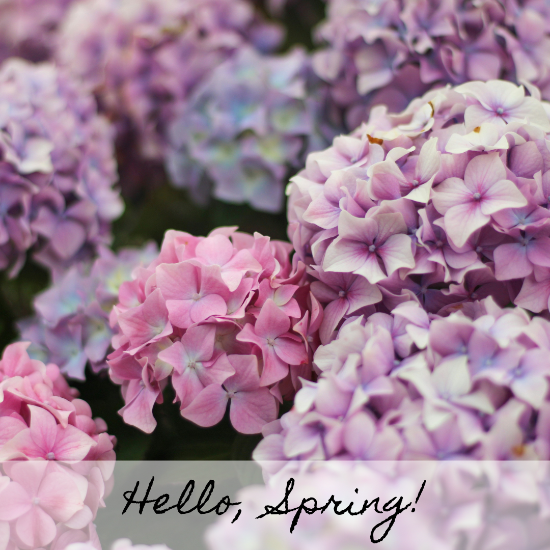 Jill's Table E-Store